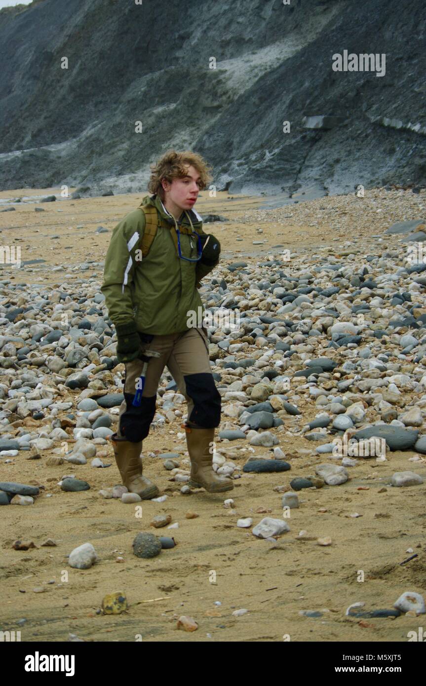 Young Windswept British Geologist Fossil Hunting on Charmouth Beach ...