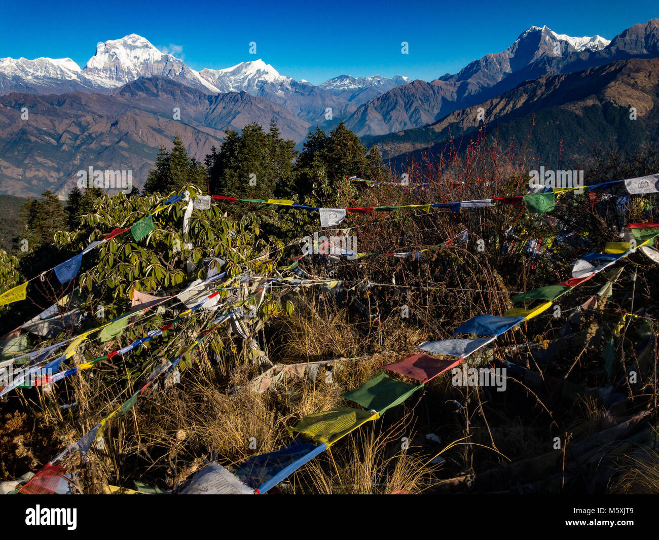 The stunning views of the Annapurna range from Poon Hill while trekking ...