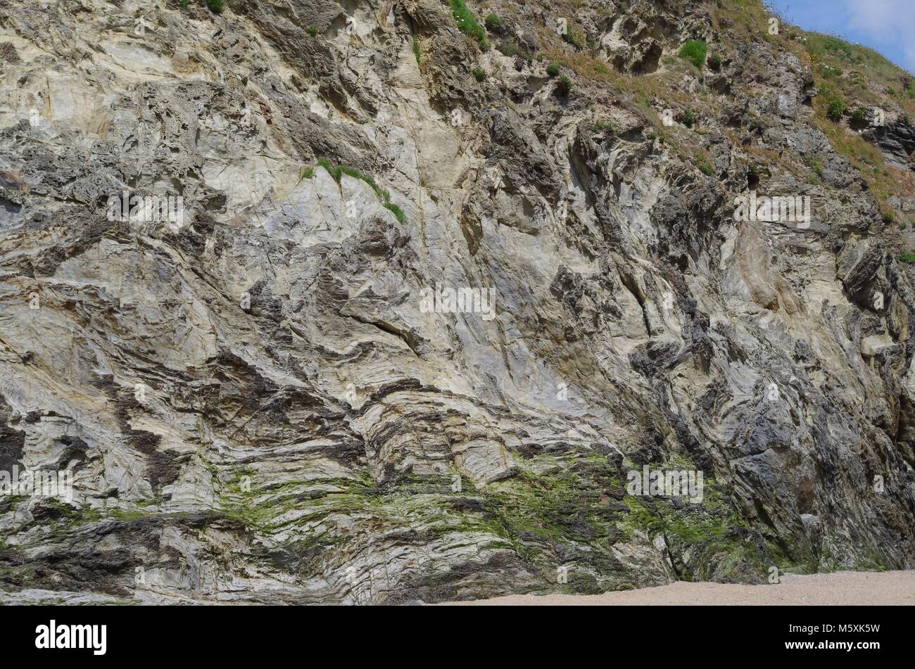 Close Up Background Photo of Contorted Metamorphic Slate of the Sea ...