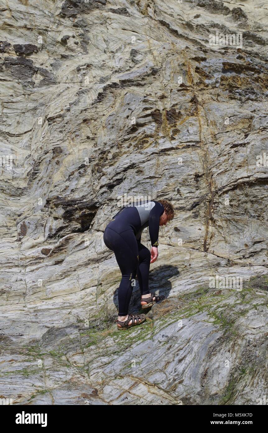 Cornish Surfer, Rock Climbing a Slate Cliff in a Wetsuit. Holywell Bay ...