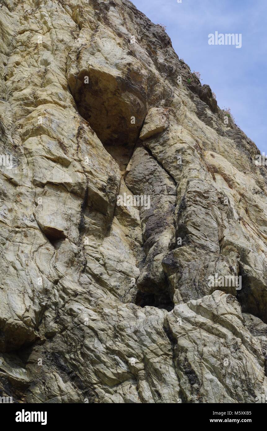 Close Up Background Photo of Contorted Metamorphic Slate of the Sea ...