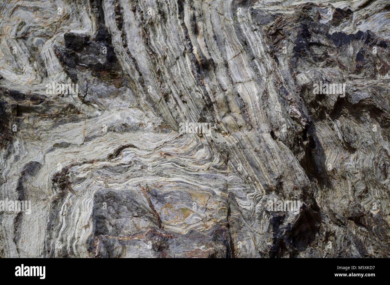 Close Up Picture Of Granite Metamorphism