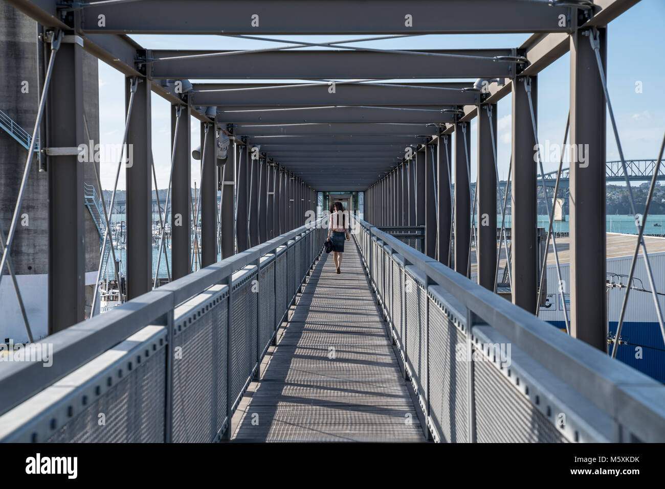 Professional/Business Woman in modern metal corridor/rooftop walk Stock ...