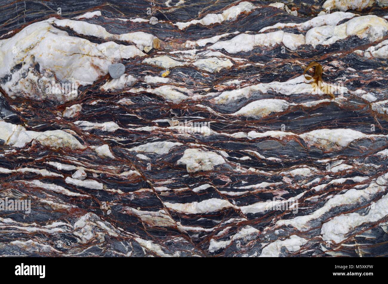 Abstract Photo of Beautiful Metamorphic Slate at Hope Cove, South Devon ...