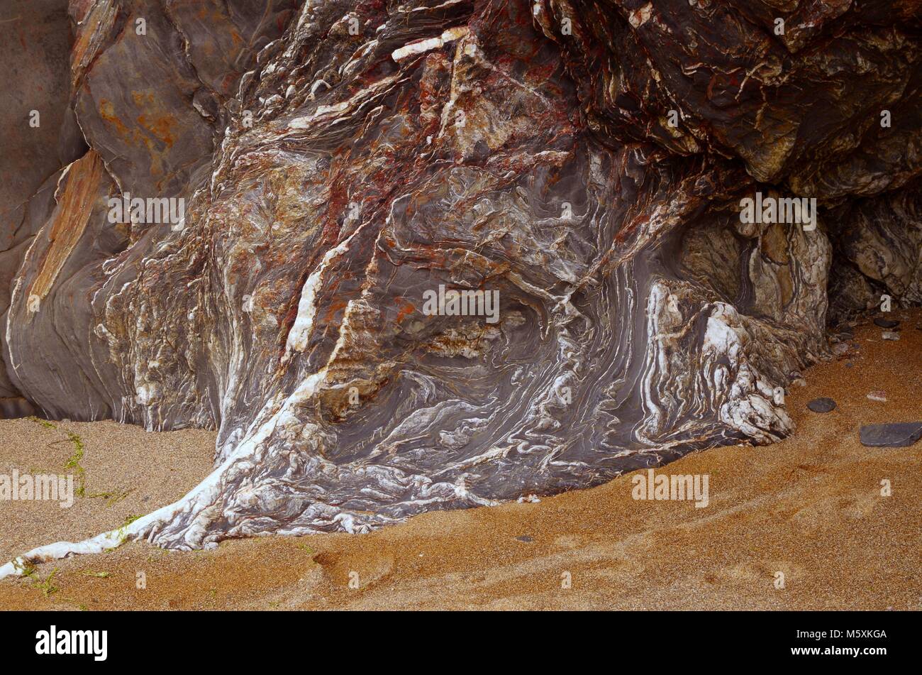 Devons oldest rocks hi-res stock photography and images - Alamy