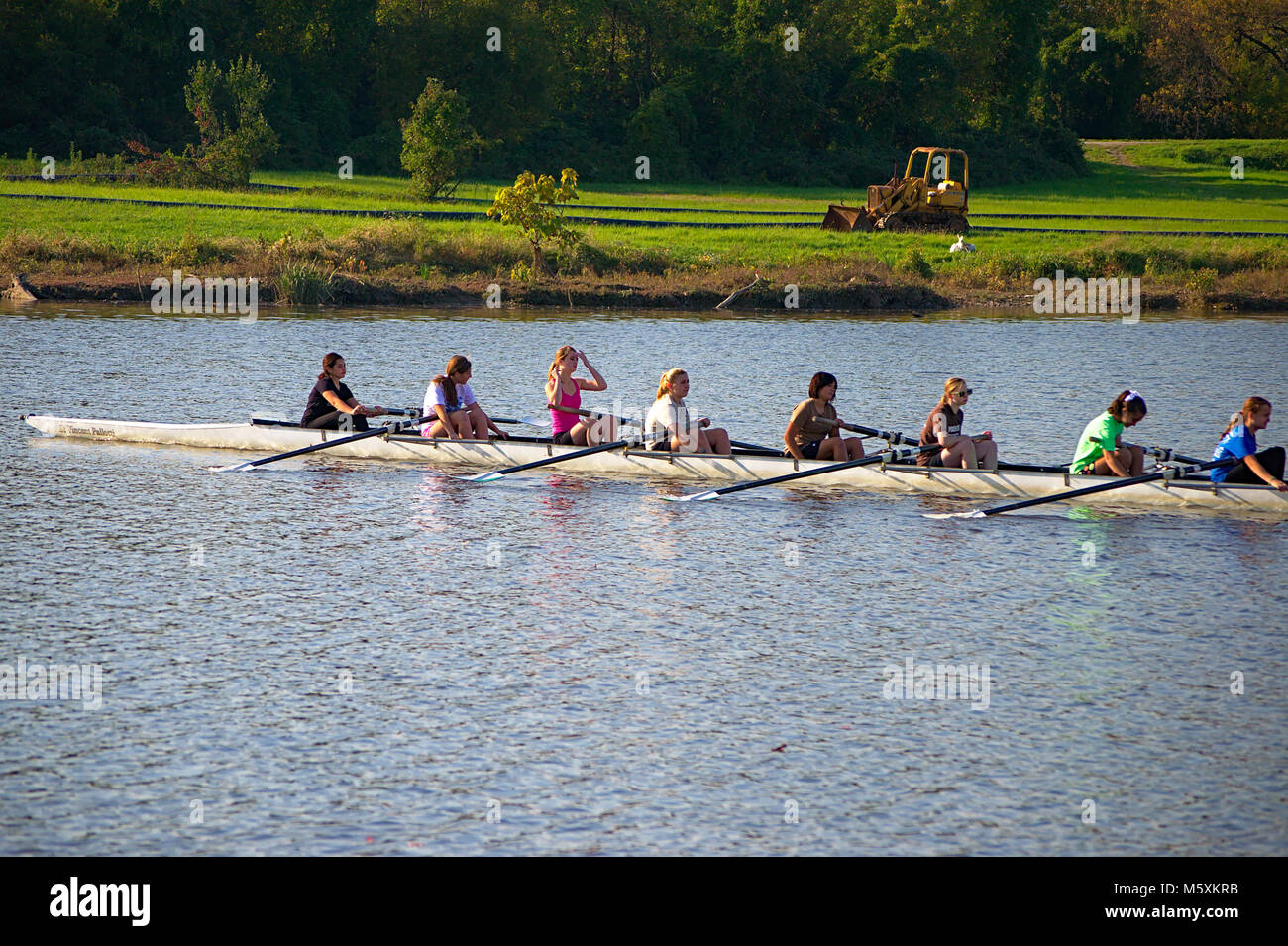 Young kids rowing team practicing on the Weekend Stock Photo - Alamy