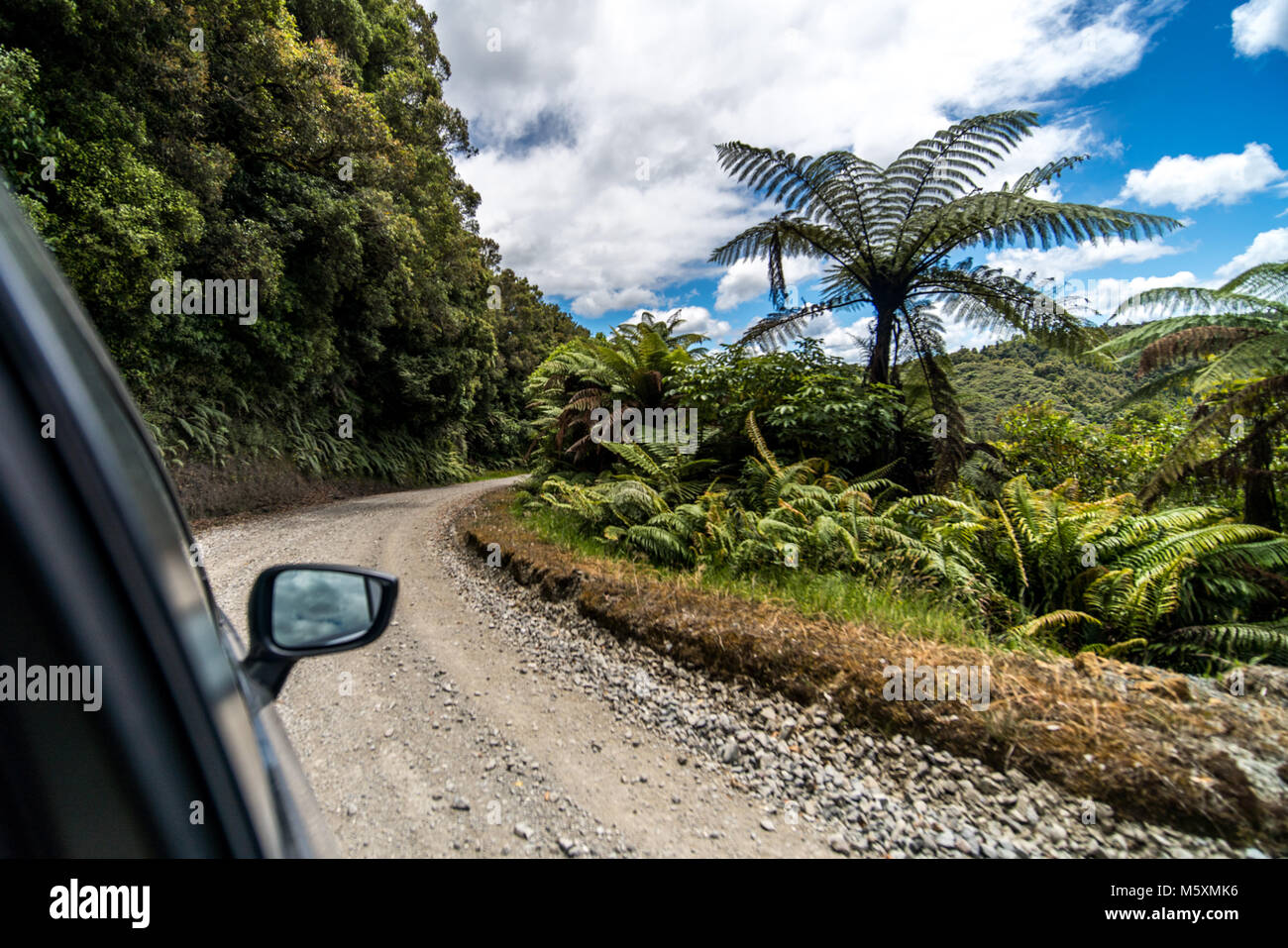 Road Trip through rainforest/jungle on gravel Stock Photo - Alamy