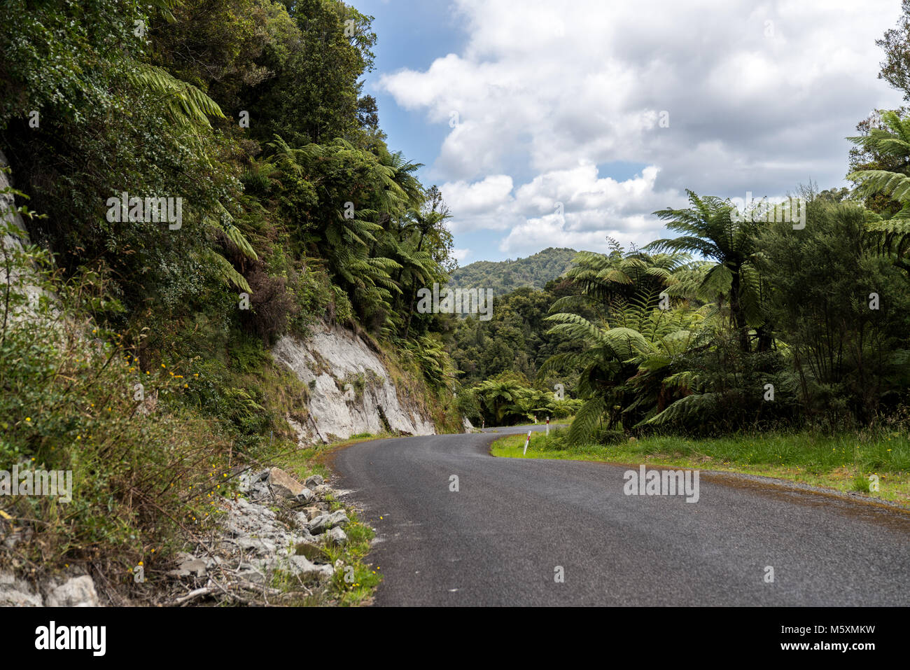 Road Trip through rainforest/jungle on gravel Stock Photo - Alamy