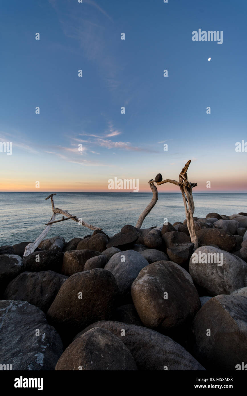 Sticks looking like art in coastal New Zealand Stock Photo - Alamy