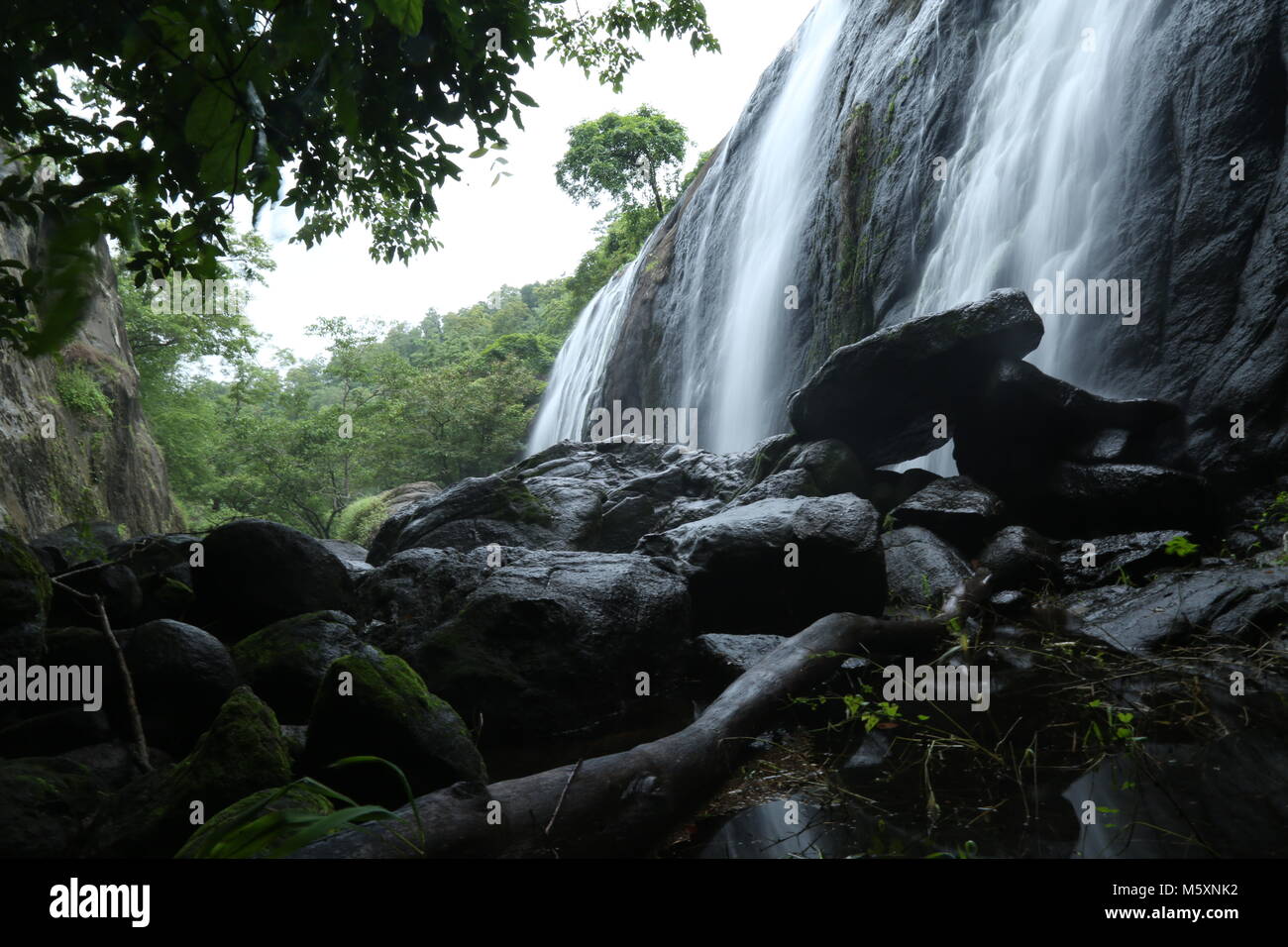 water falls kerala, national park, nature Stock Photo - Alamy