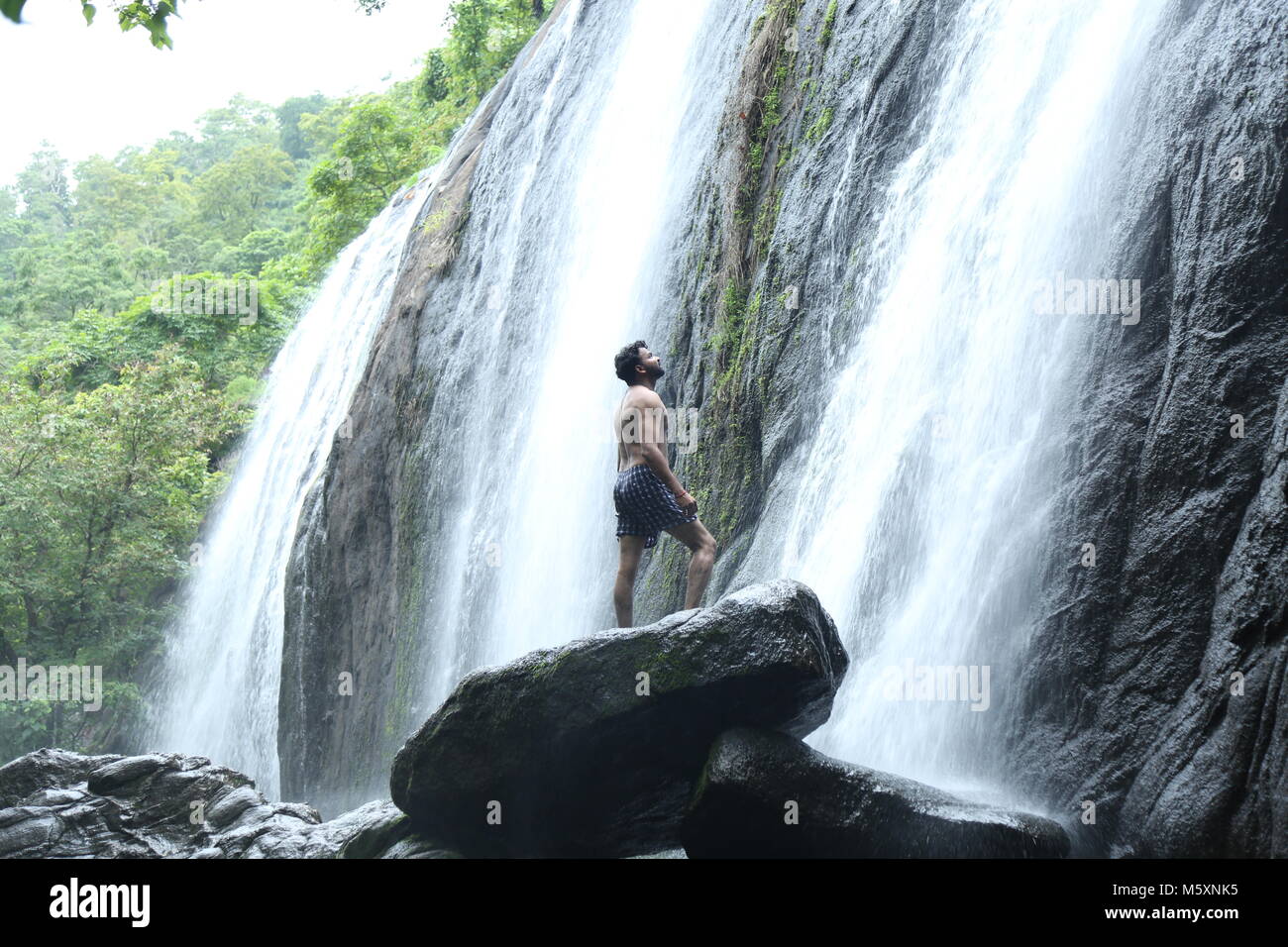 water falls kerala, national park, nature Stock Photo - Alamy