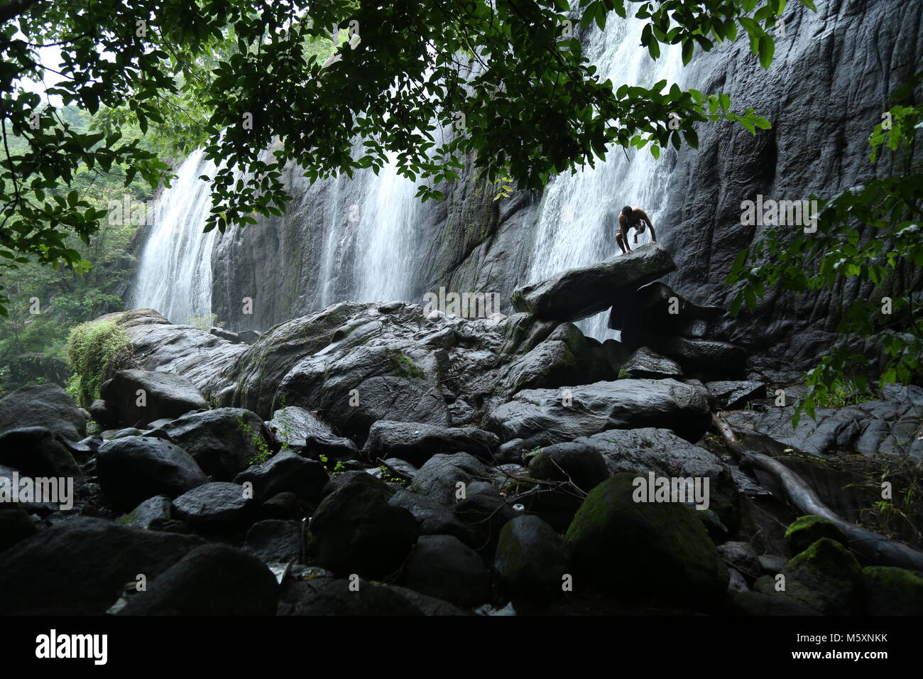 water falls kerala, national park, nature Stock Photo - Alamy