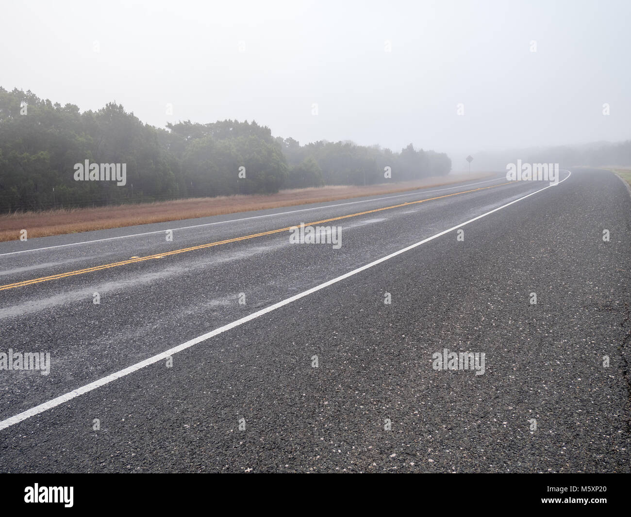 Single Lane Road Curving Left into Dense Fog in the Day time Stock ...