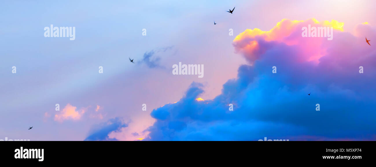 abstract spring sky background; flight birds in pink clouds Stock Photo ...