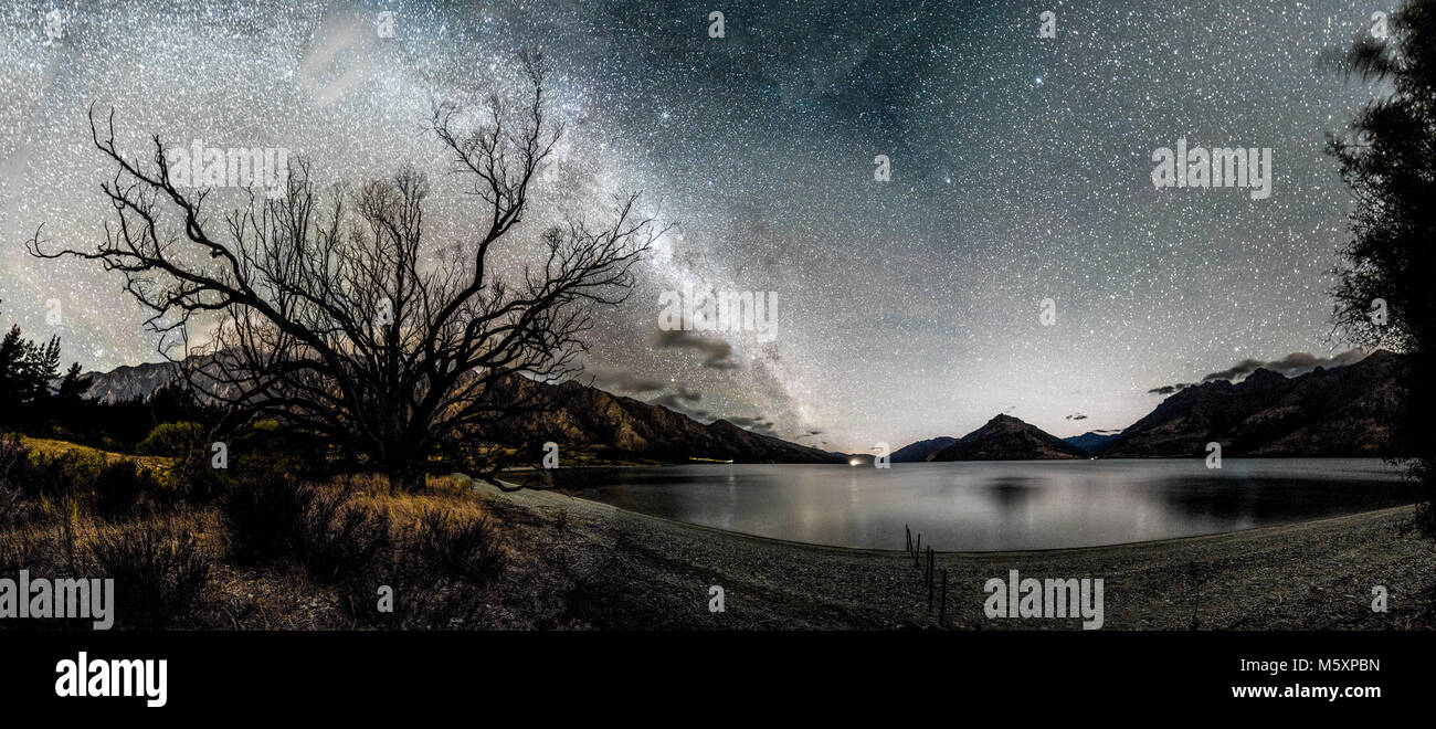 Milky way old tree hi-res stock photography and images - Alamy