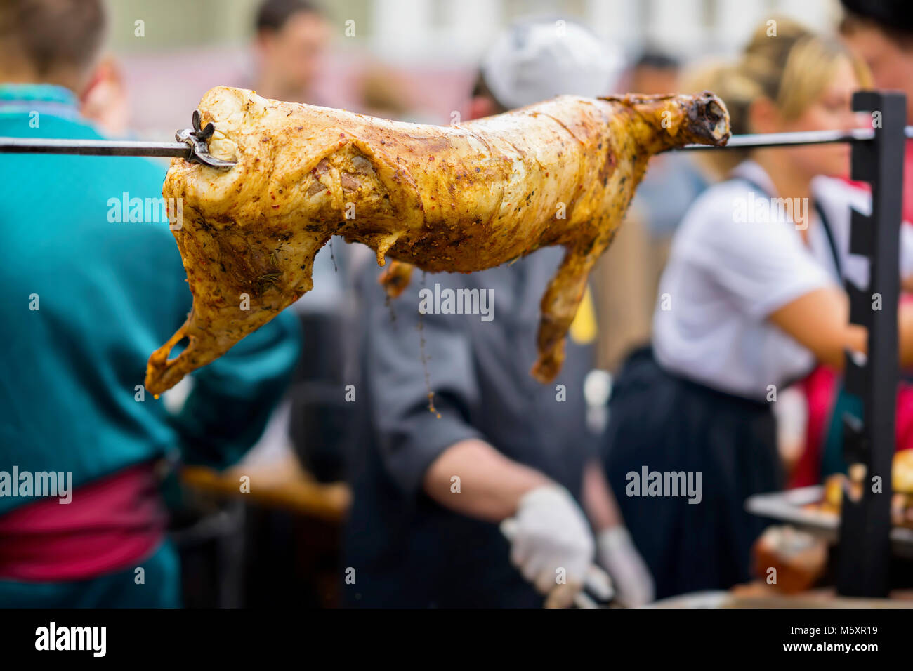 Carcass of sheep, suckling pig on rotating spit with fire on spit ...