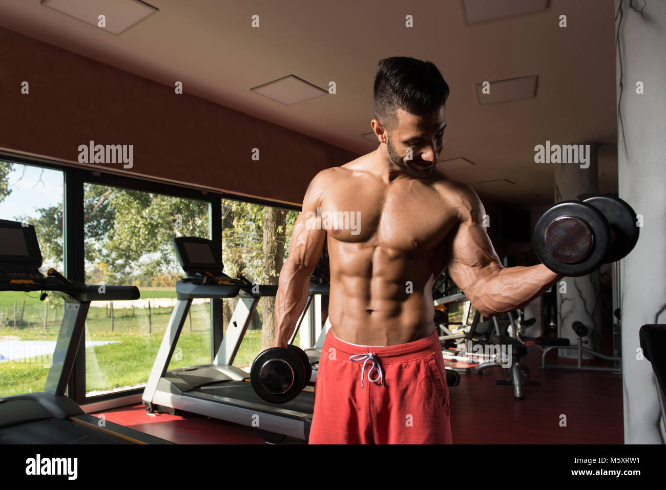 Man Working Out Biceps In A Gym - Dumbbell Concentration Curls Stock ...