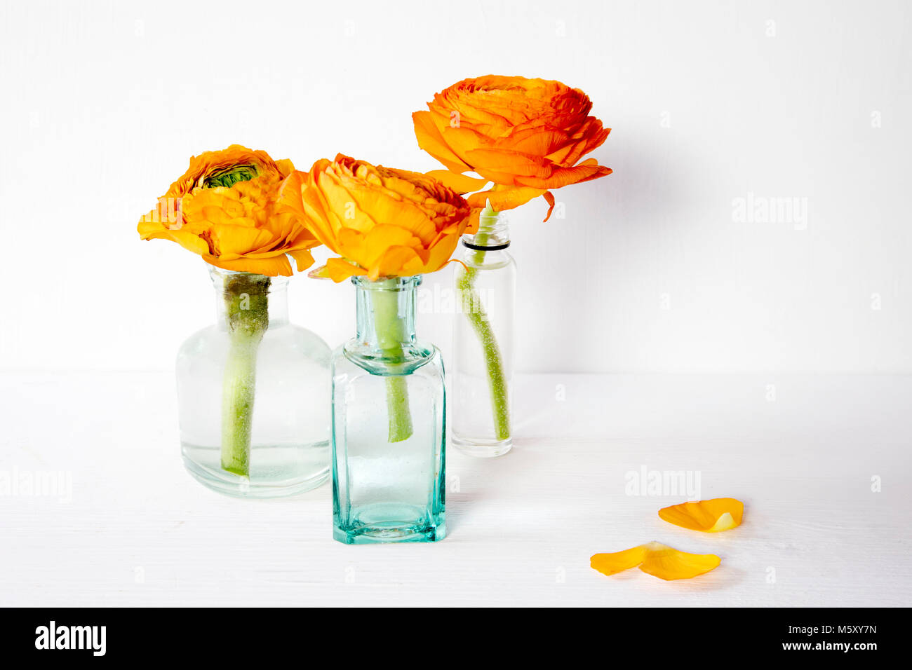 orange buttercup in a transparent green bottle isolated Stock Photo - Alamy