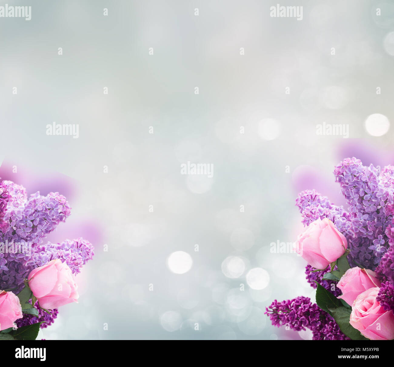 Lilac flowers with roses Stock Photo - Alamy