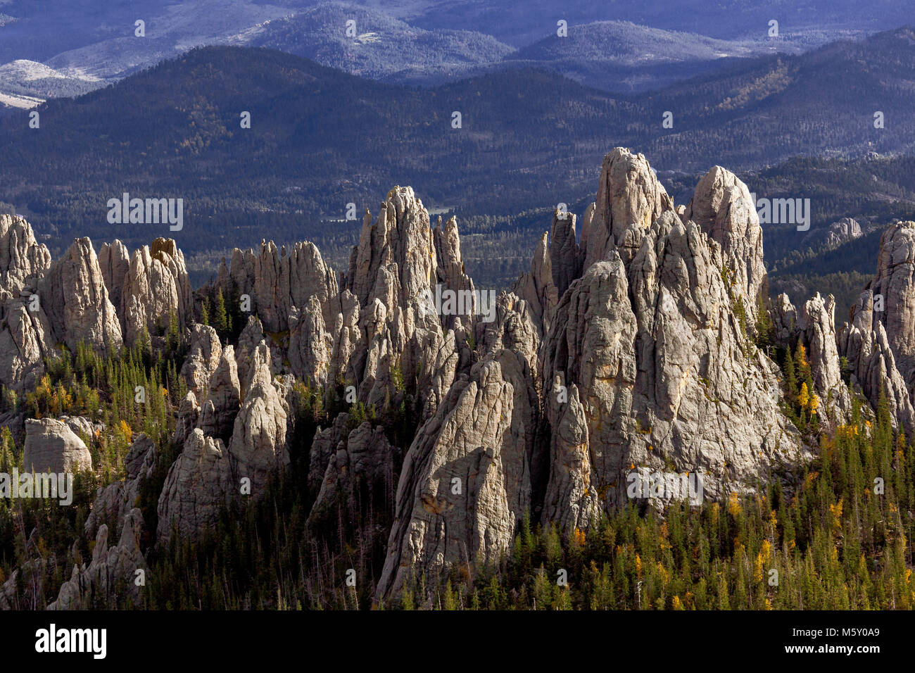 SD00037-00...SOUTH DAKOTA - The Cathedral Spires in Custer State Park ...