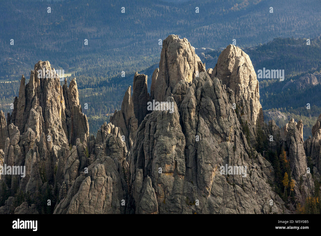 SD000387-00...SOUTH DAKOTA - The Cathedral Spires in Custer State Park ...