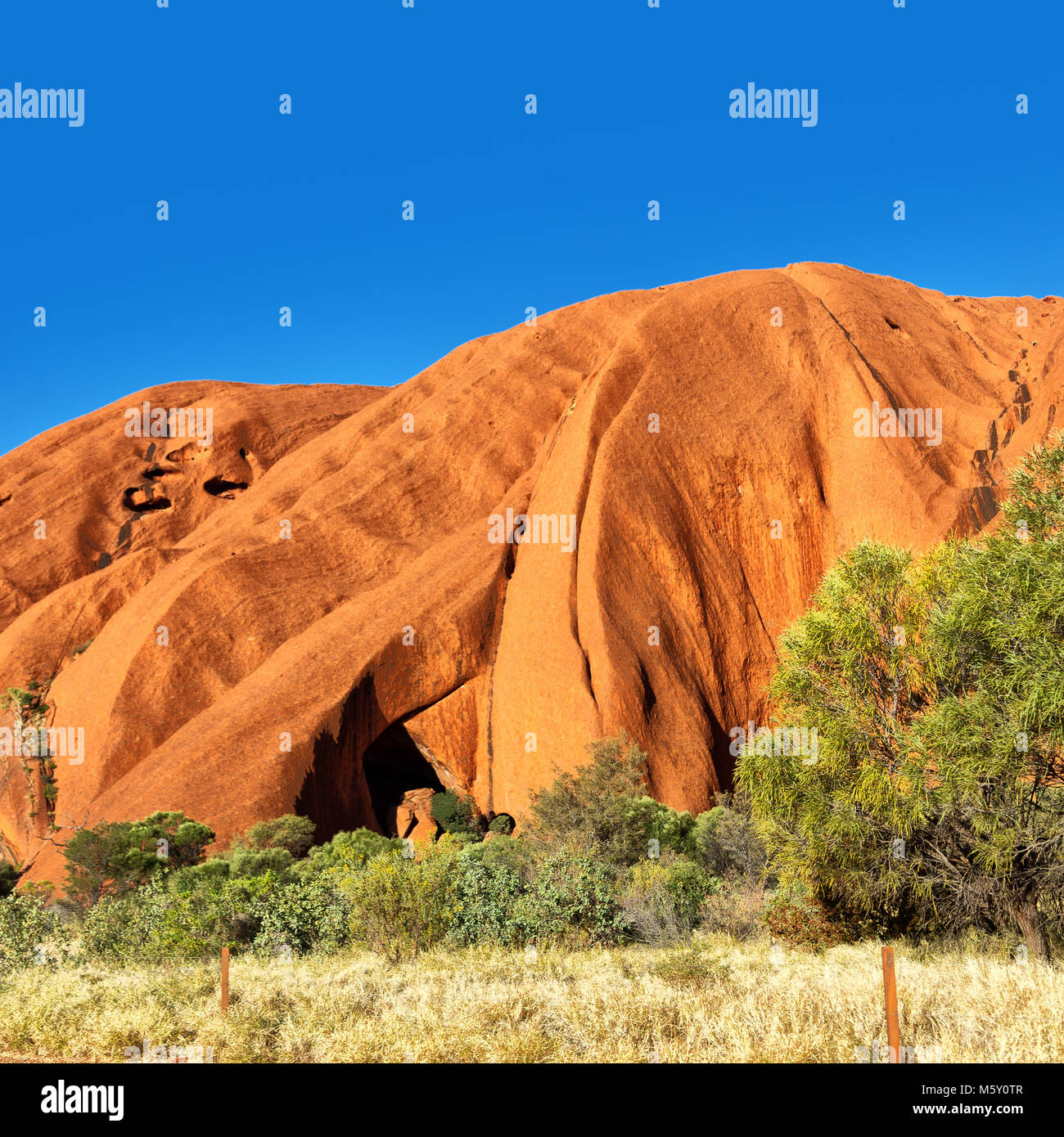 in australia the concept of wilderness environment in the landscape ...