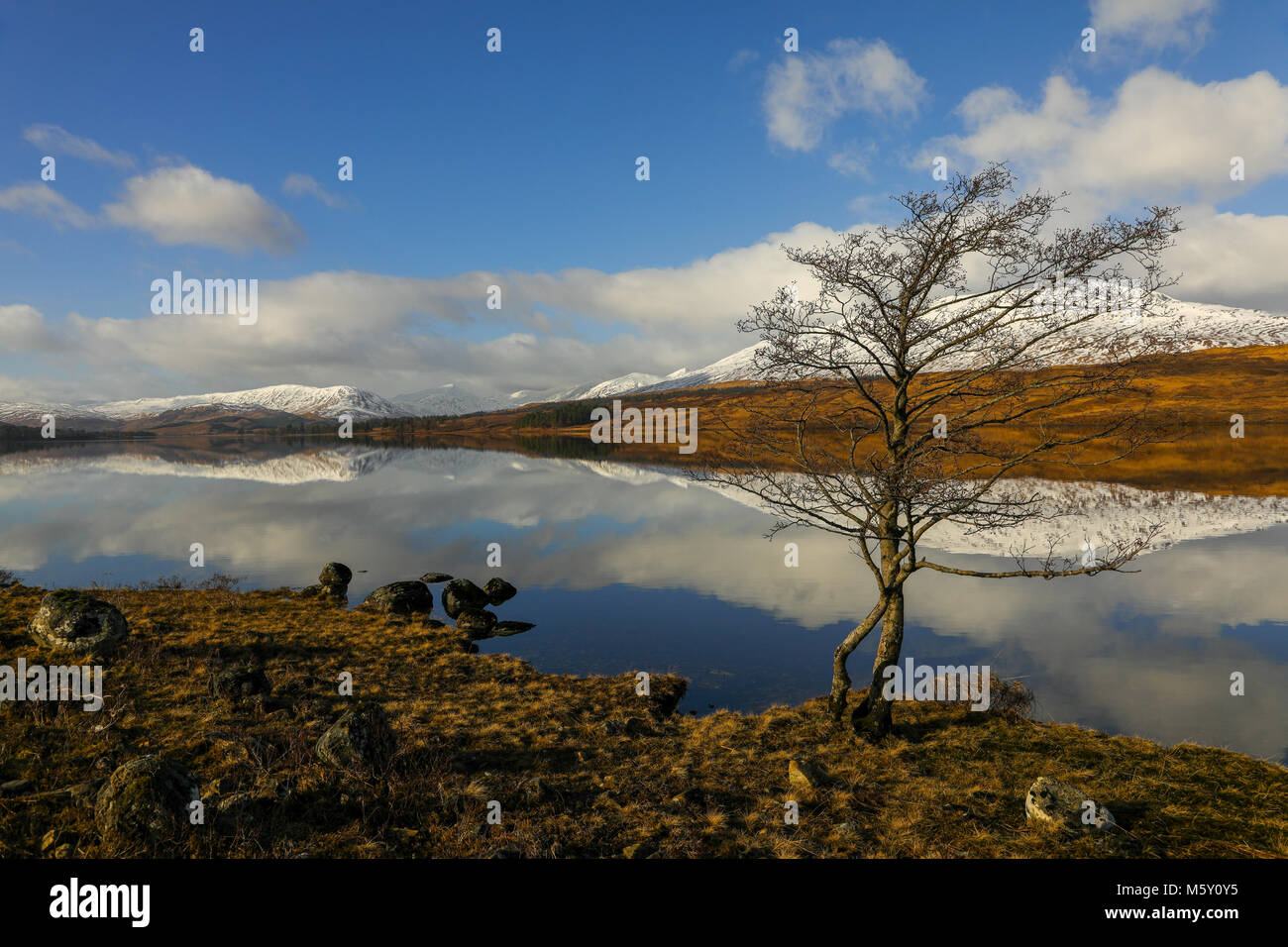 Scottish winter scenes in the Glencoe national park, Scottish highlands ...
