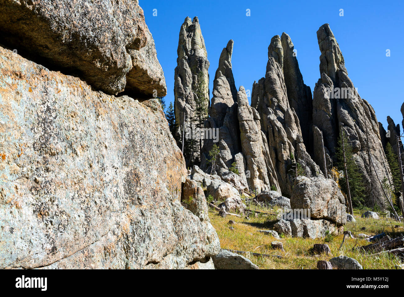 SD00068-00...SOUTH DAKOTA - Cathedral Spires area of Custer State Park ...