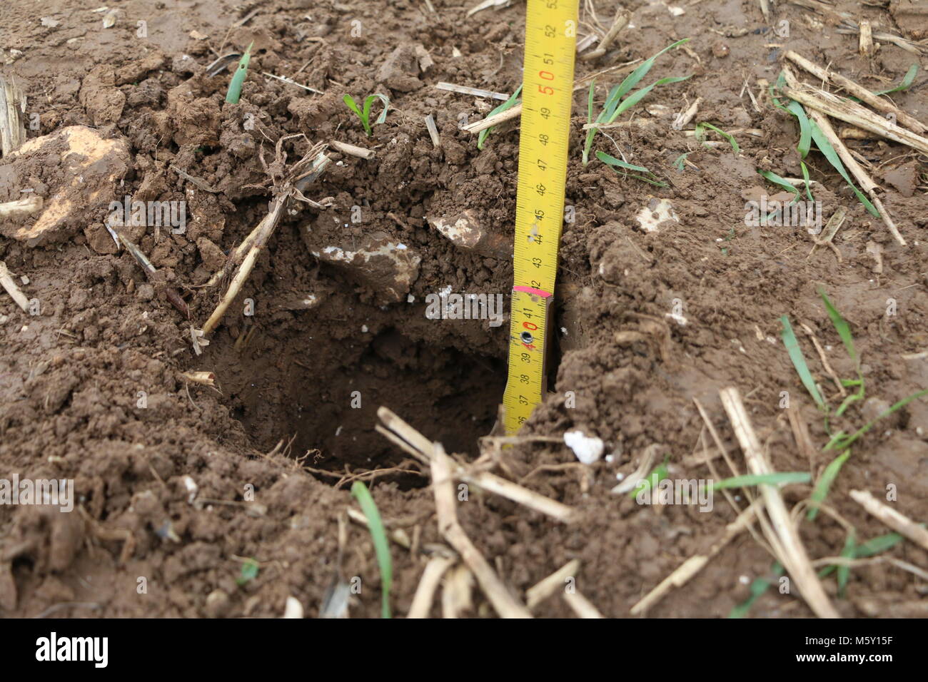Hole resulting from soil sampling inside a cultivated field Stock Photo ...