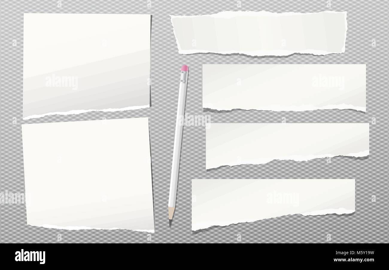 Pieces of torn white blank note, notebook paper strips for text stuck ...