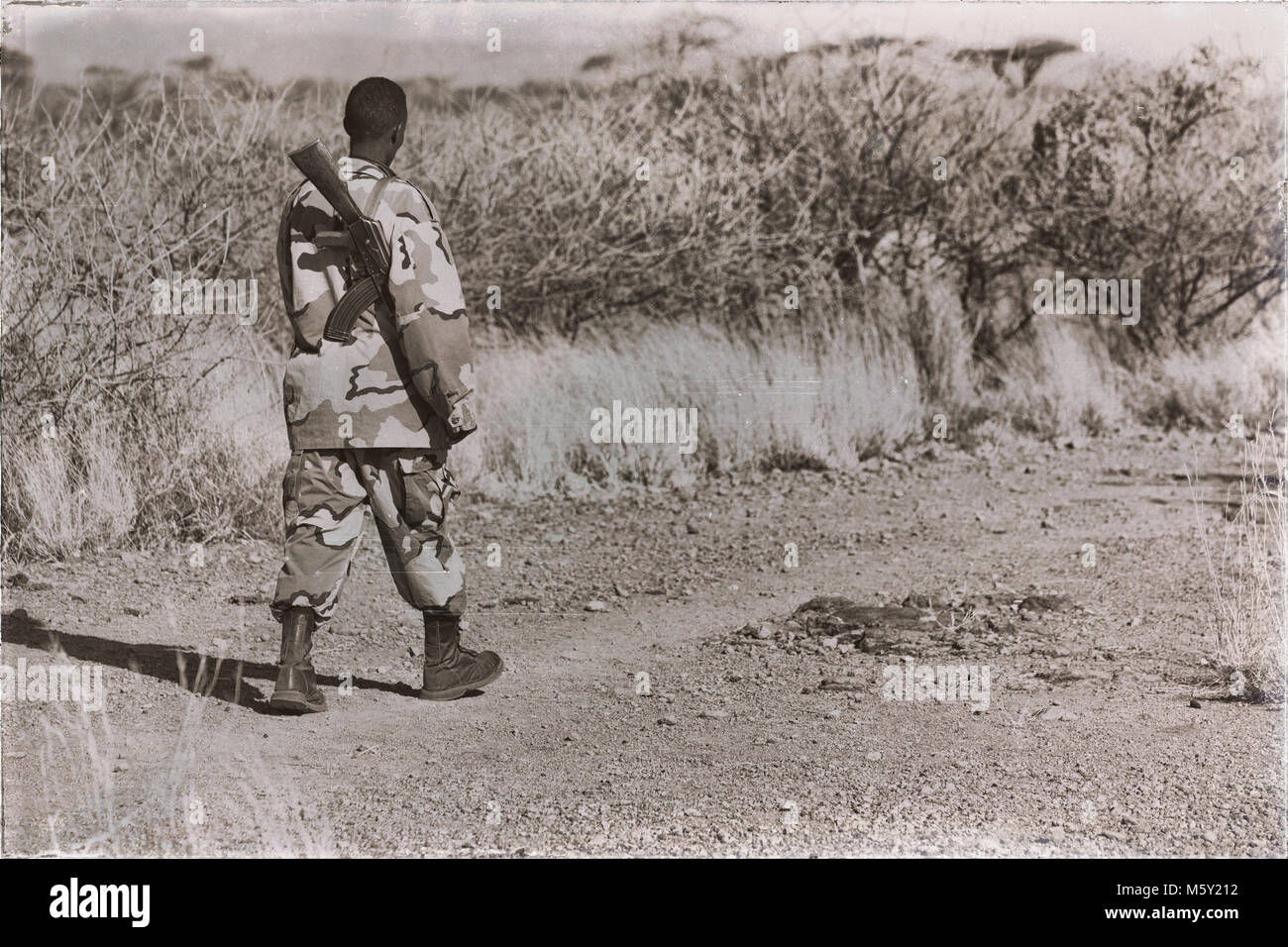 africa in the land of ethiopia a black soldier and his gun looking the ...