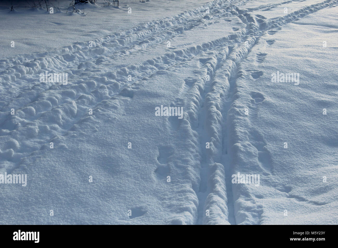 Background - snow, trails, sunlight and shadows Stock Photo - Alamy