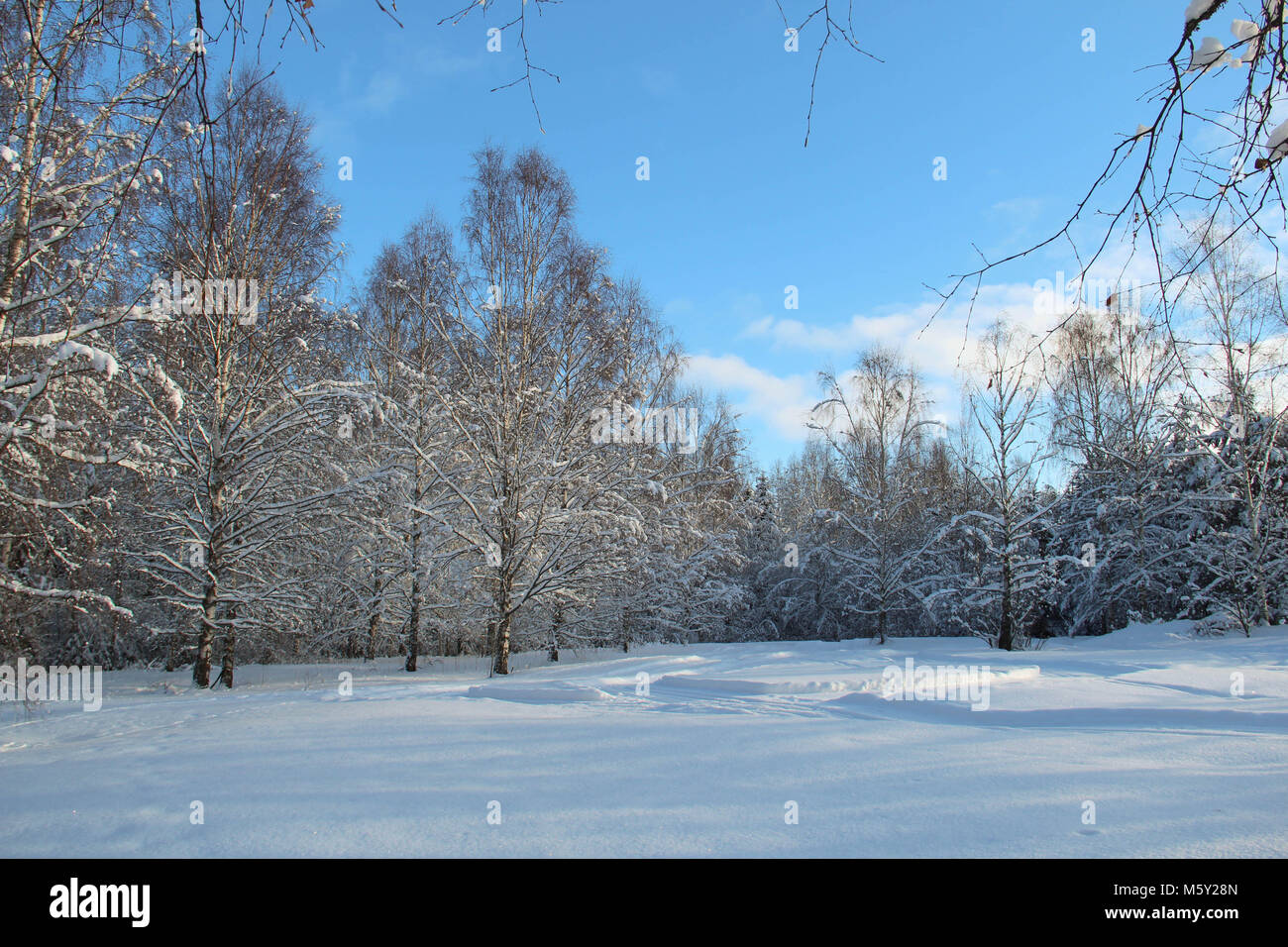 Meadow trails snow hi-res stock photography and images - Alamy