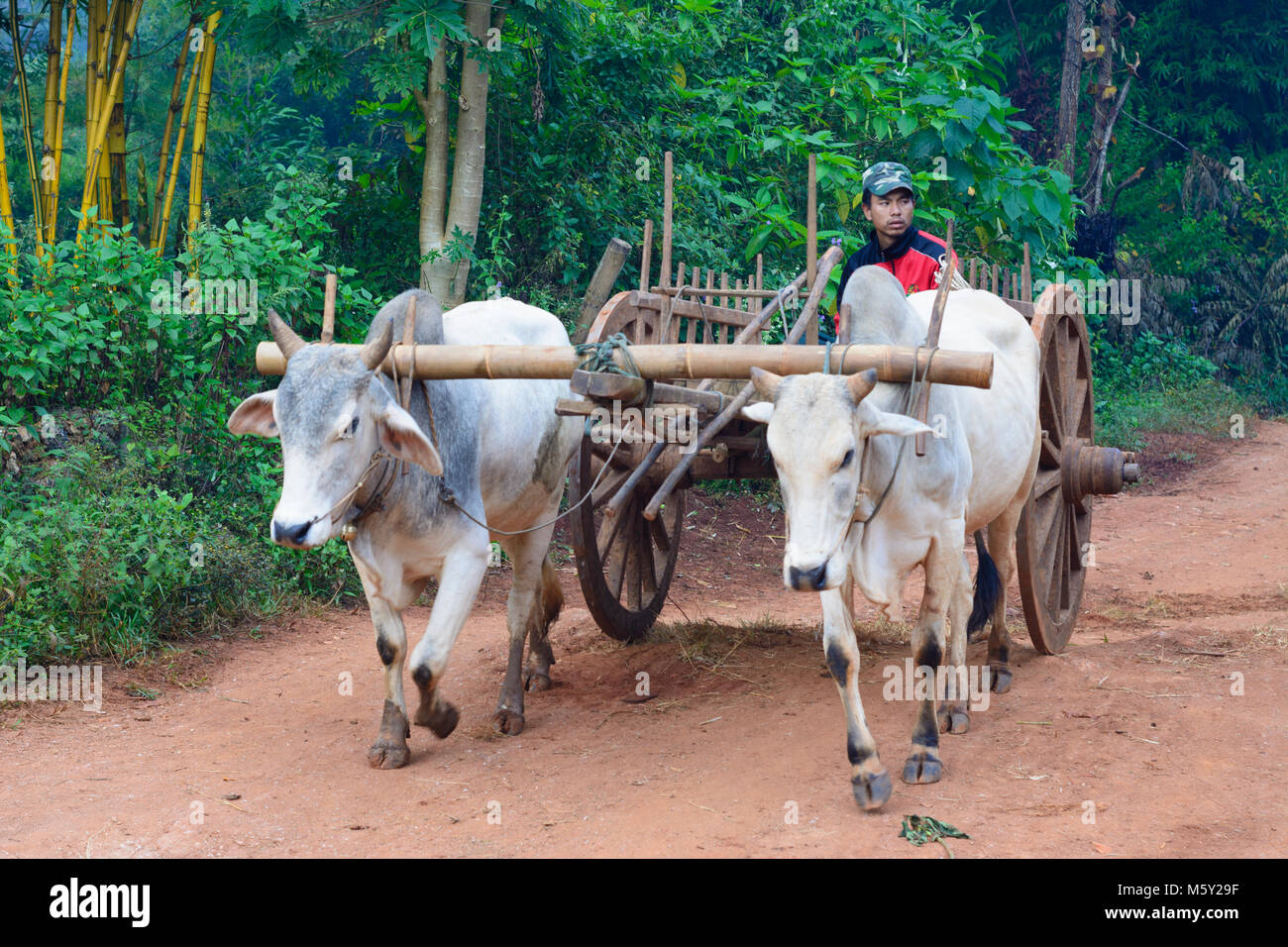 Kalaw village hi-res stock photography and images - Alamy