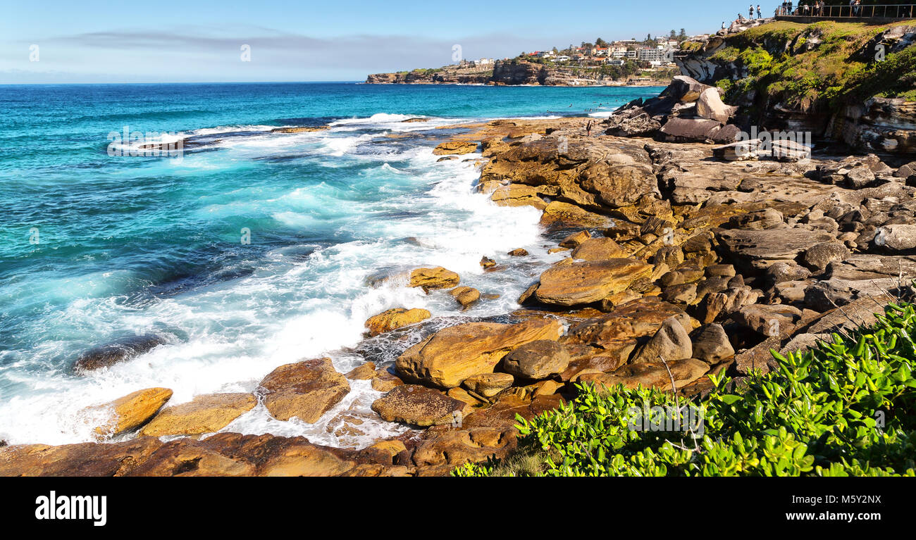 in australia sydney the bay the rock and the ocean near bondi beach ...