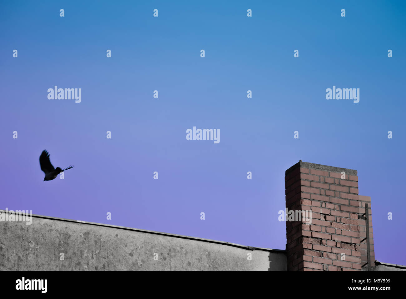 View over the berlin wall hi-res stock photography and images - Alamy