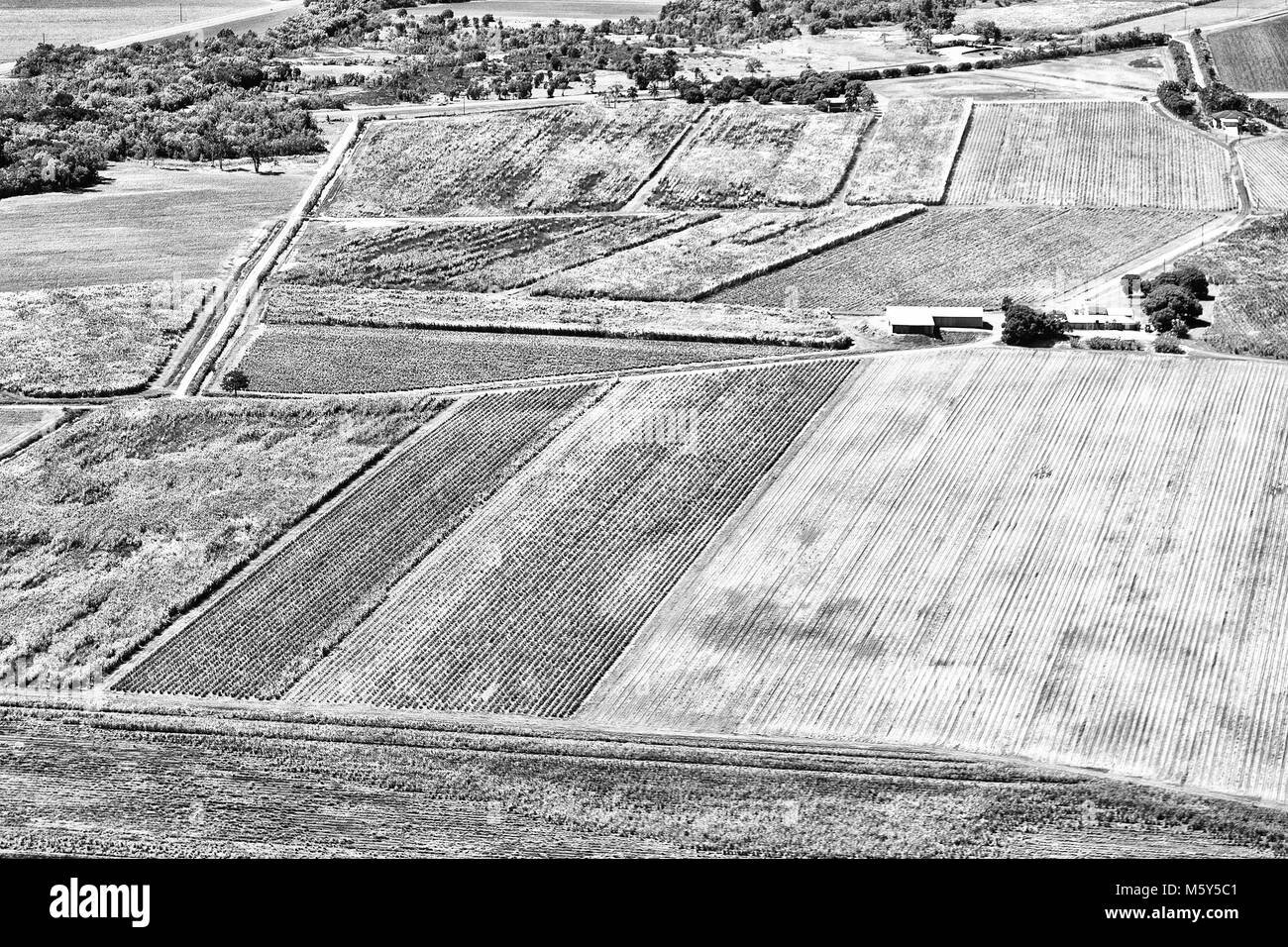 texture in australia field of colutivation from the high Stock Photo ...
