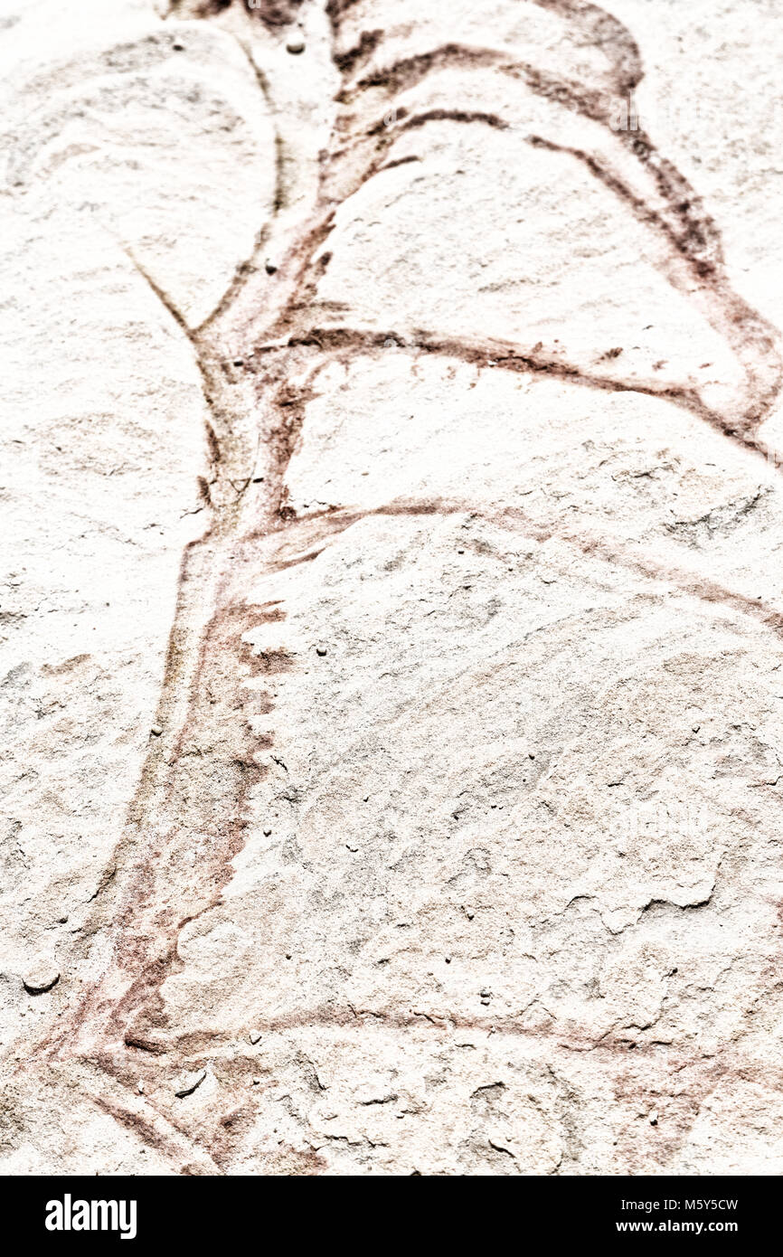 abstract background texture of the rock in the nature and empty space ...