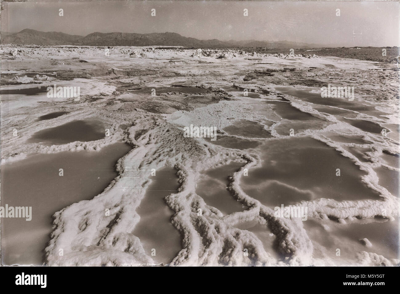 in danakil ethiopia africa the volcanic depression of dallol Stock ...