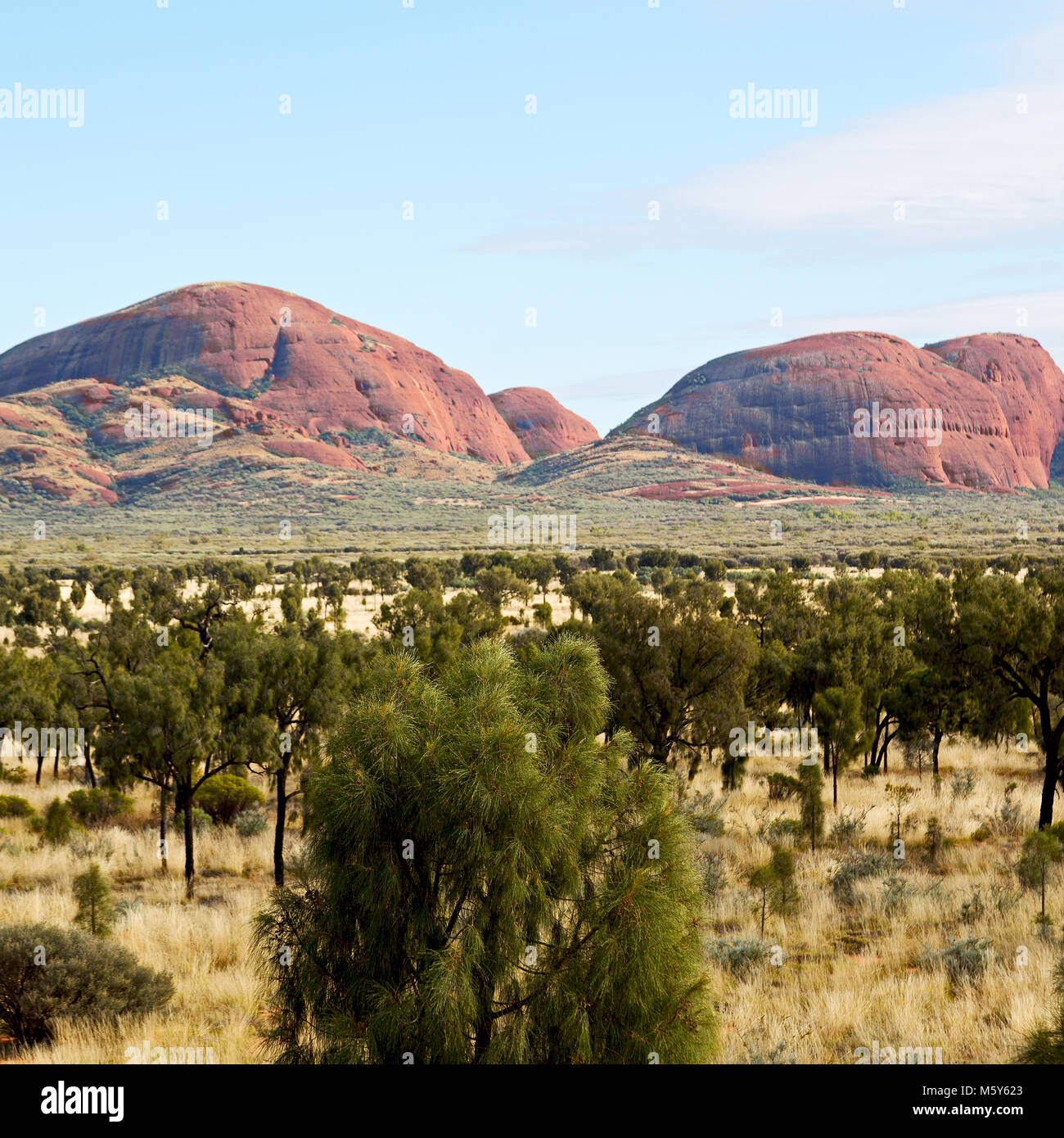 in australia the concept of wilderness environment in the landscape ...