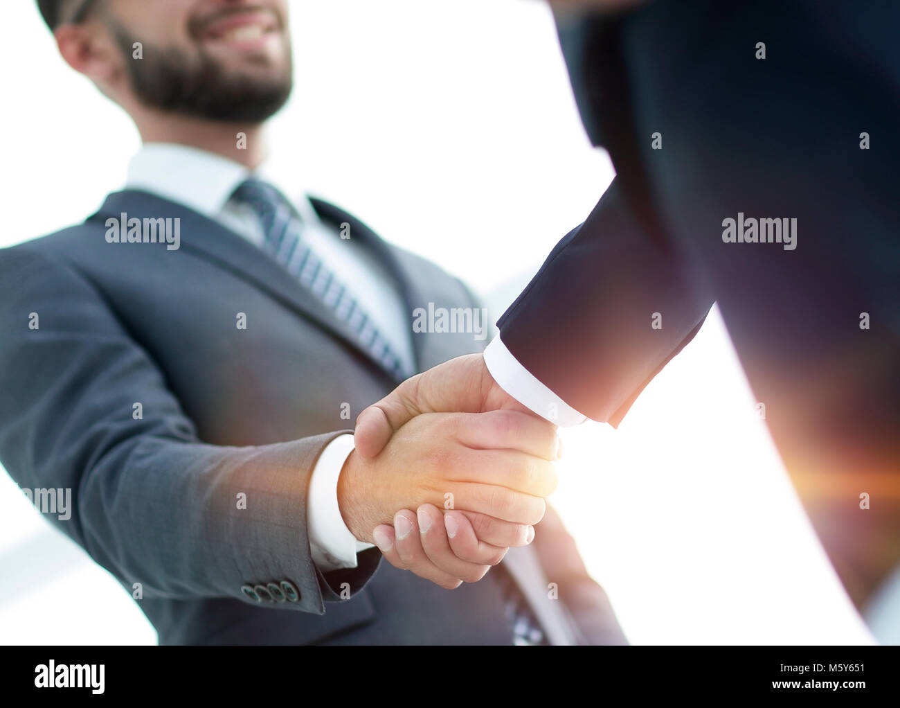 Businessmen making handshake - business etiquette, congratulatio Stock ...