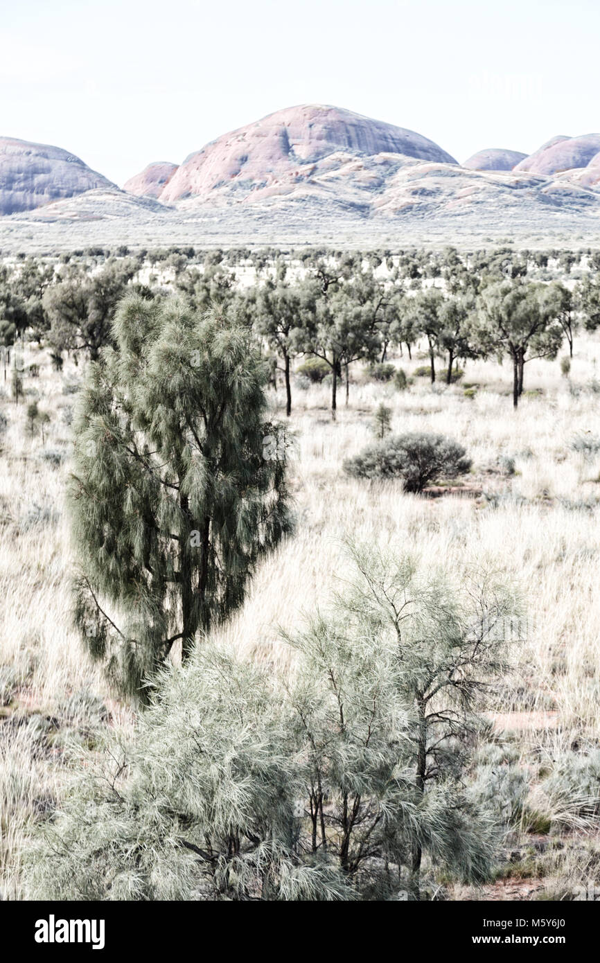 in australia the concept of wilderness environment in the landscape ...