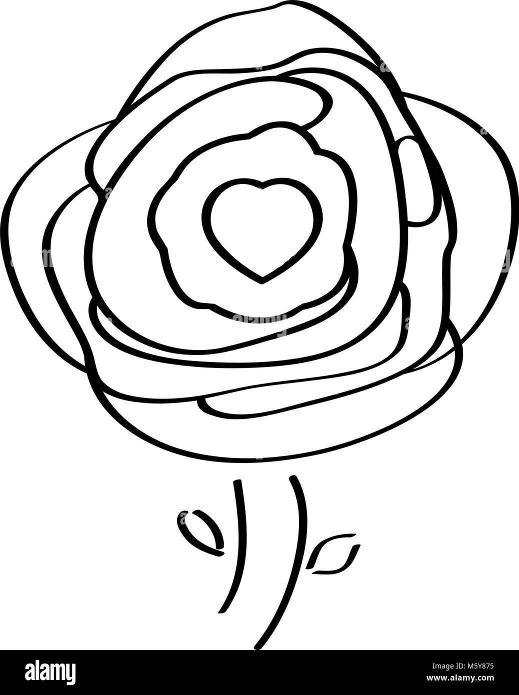 Isolated rose drawing Stock Vector Image & Art - Alamy