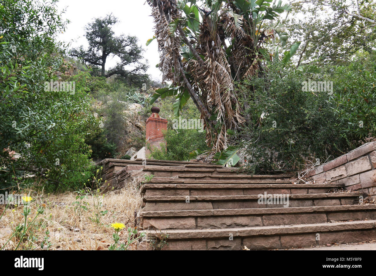 Architectural ruins of Robert's Ranch House Stock Photo - Alamy