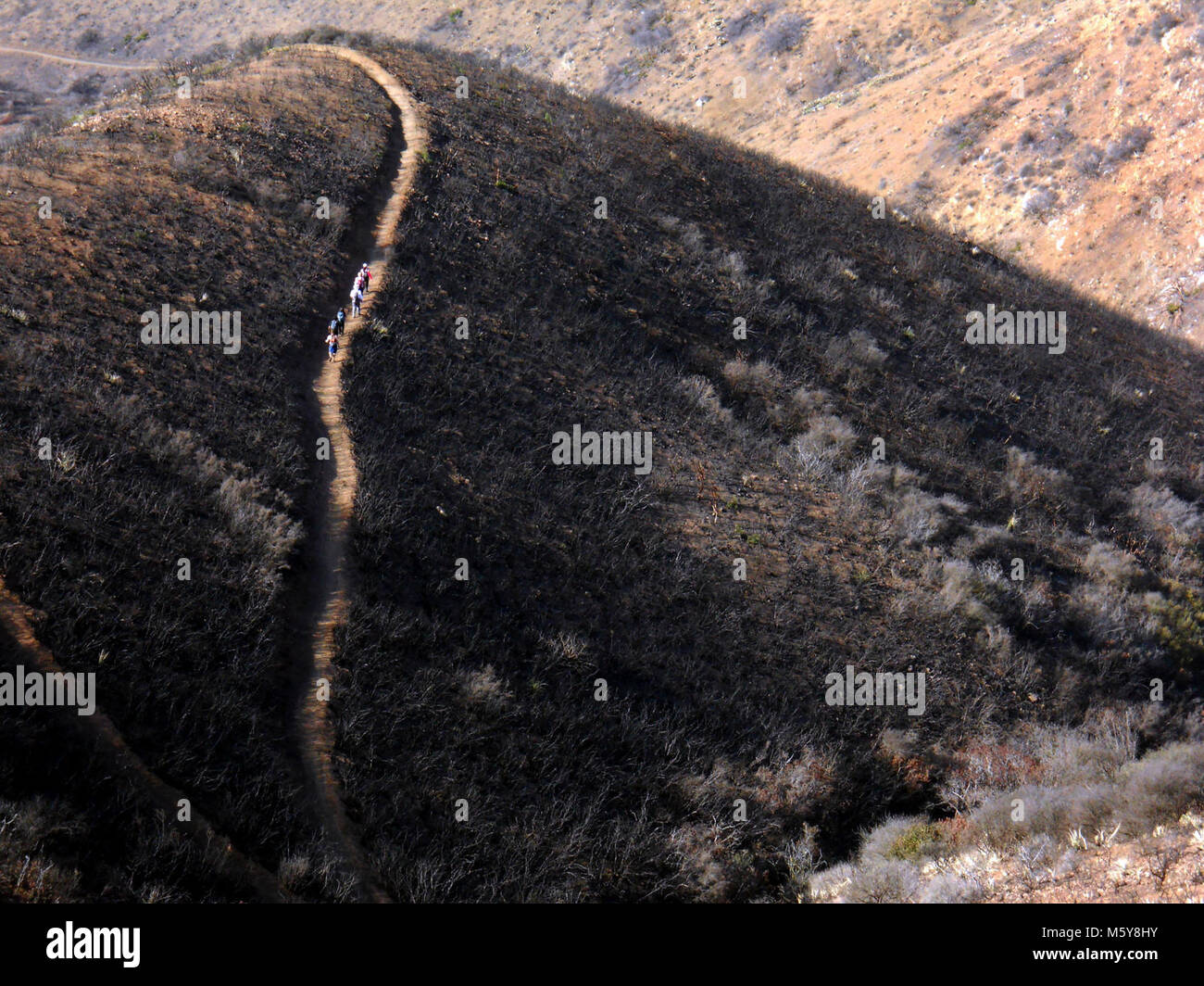 Backbone Trail after the Springs Fire. Hikers traverse a section of the ...