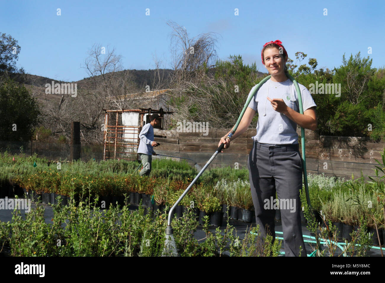 Biological science Technician Jane Stock Photo - Alamy