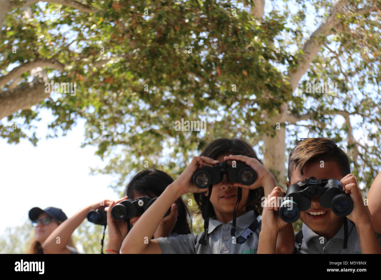 Identify birds hi-res stock photography and images - Alamy