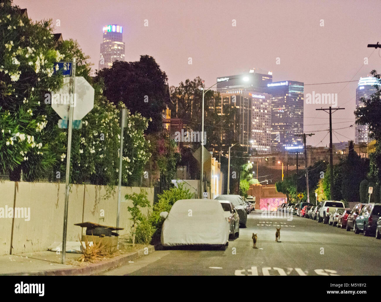 Los angeles backdrop hi-res stock photography and images - Alamy