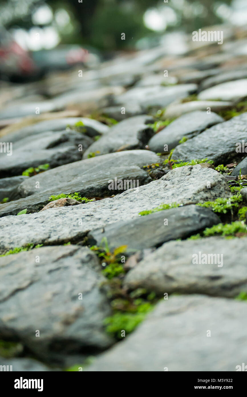 Cobblestone street-closeup and angled-showing the art and design of the ...