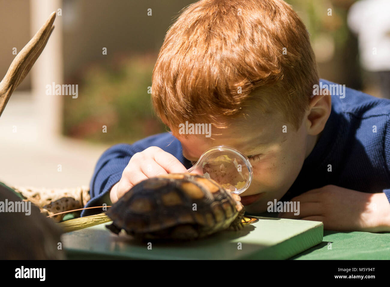 Child exploring at the Joshua Tree National Park booth at Stock Photo ...